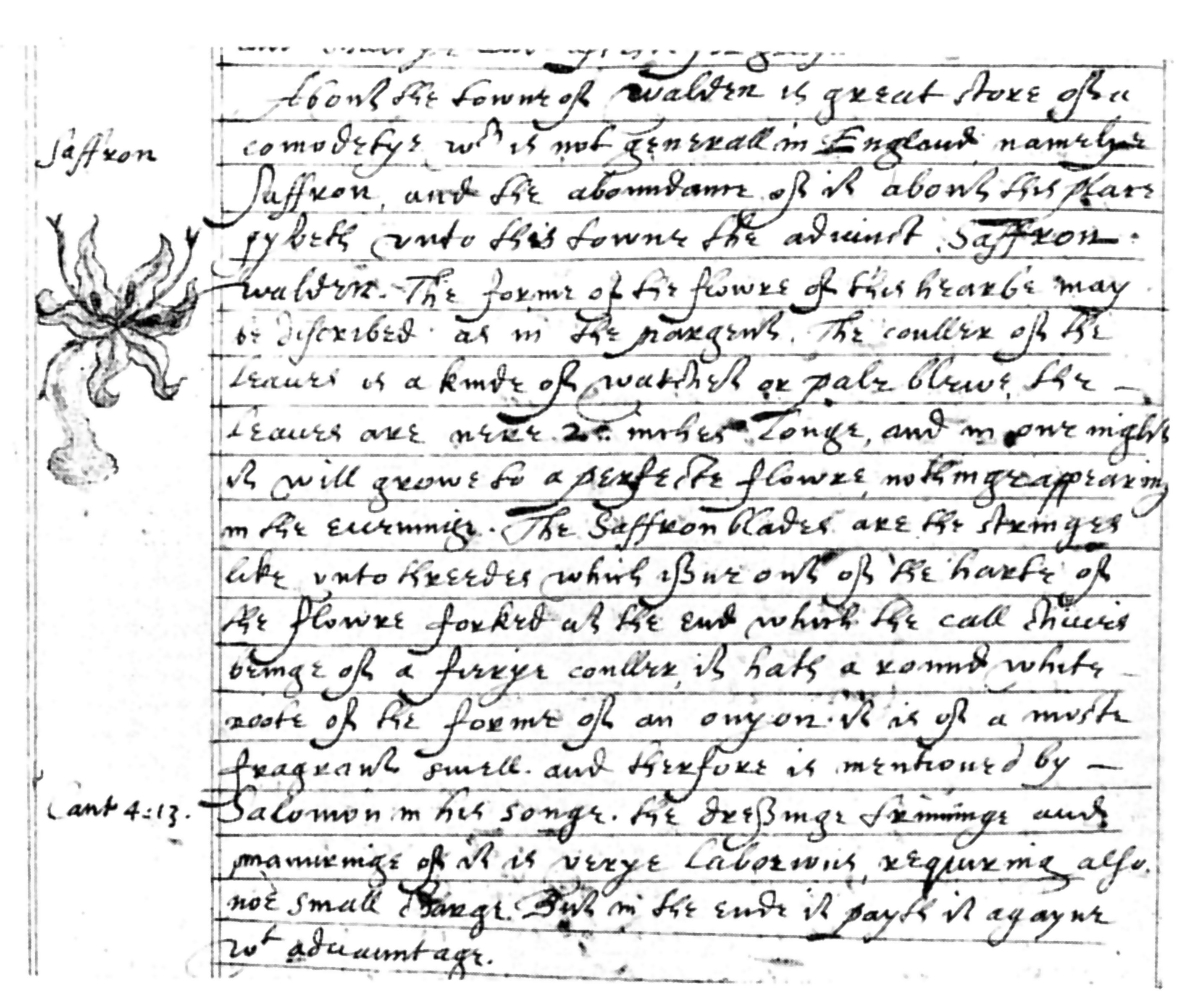 Script Overlays – Peter Vodden